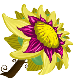 Falcon-Flower – Semilla Monte Alegre